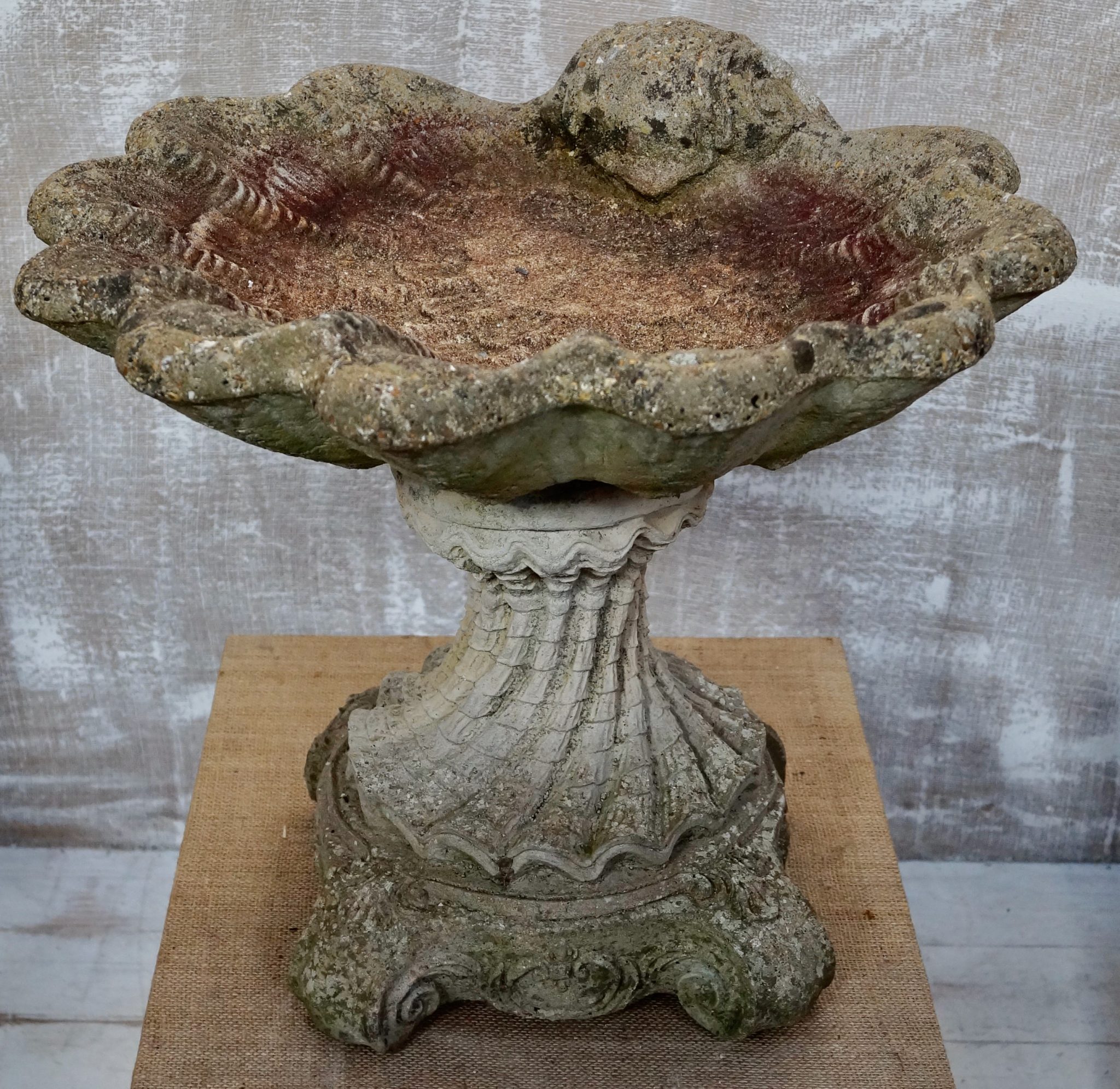 Vintage Scallop Shell Bird Bath (SOLD) – Clubhouse Interiors Ltd