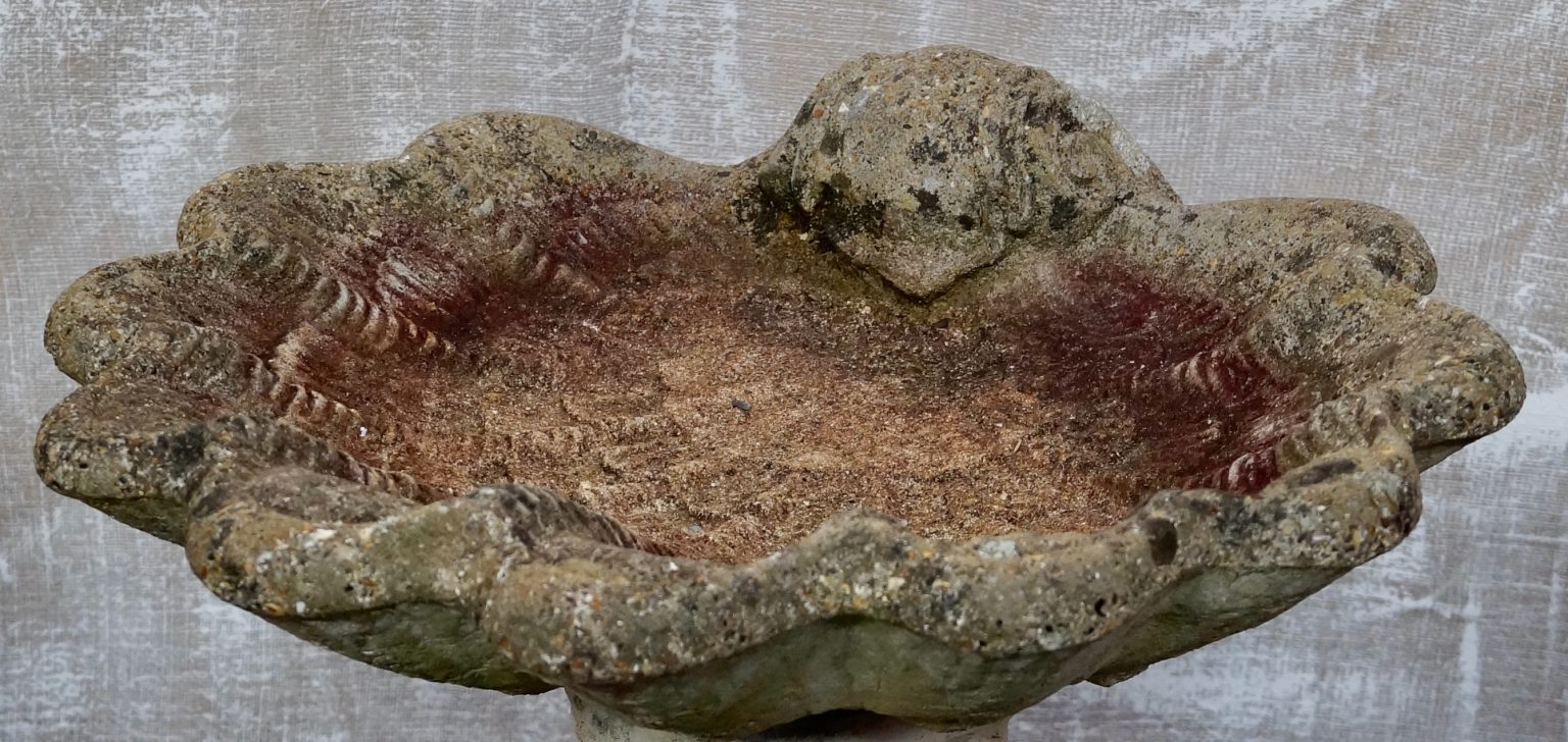 Vintage Scallop Shell Bird Bath (SOLD) – Clubhouse Interiors Ltd