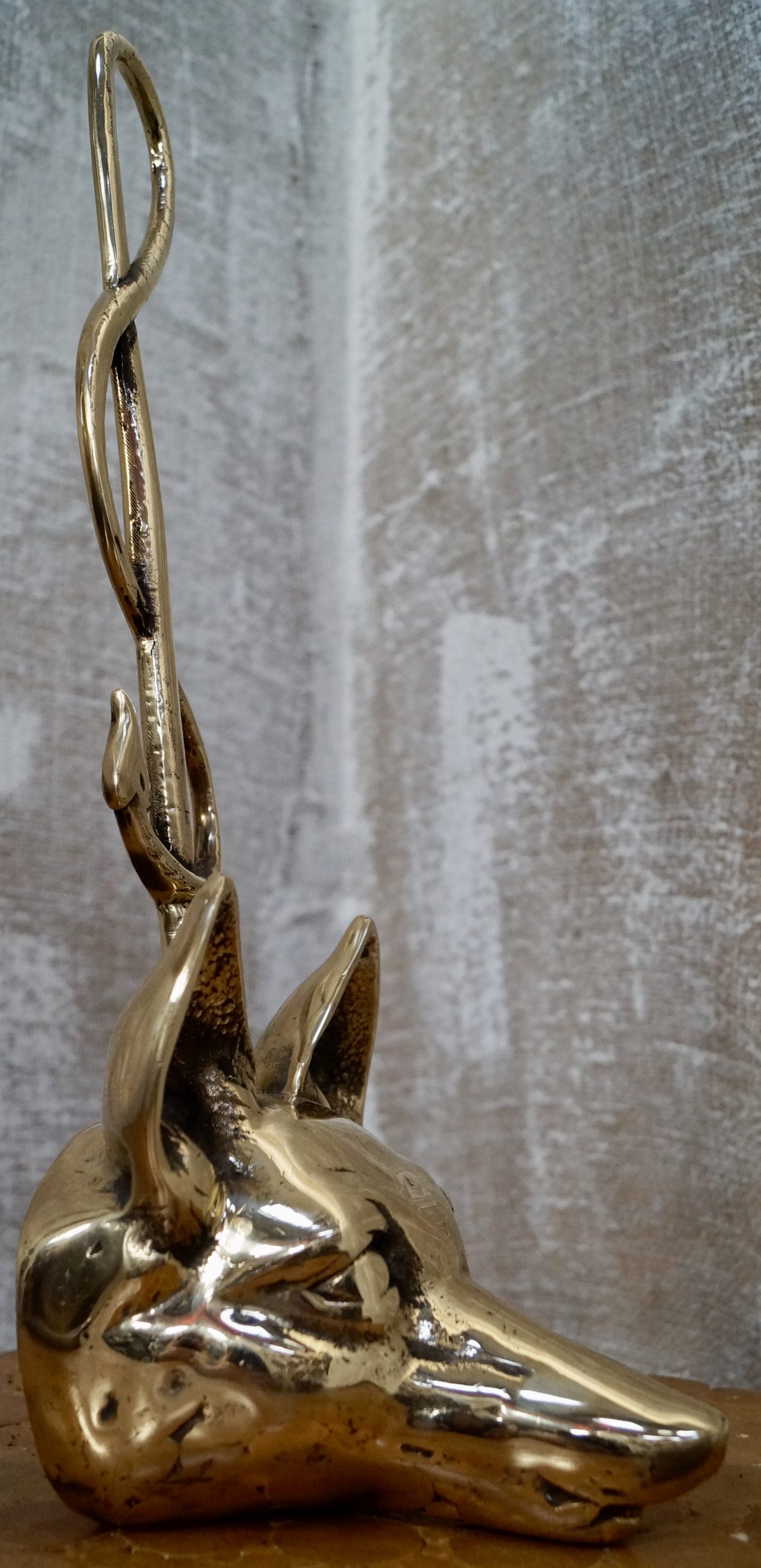 Victorian Brass Fox Head And Whip Hall Porter (SOLD) – Clubhouse ...